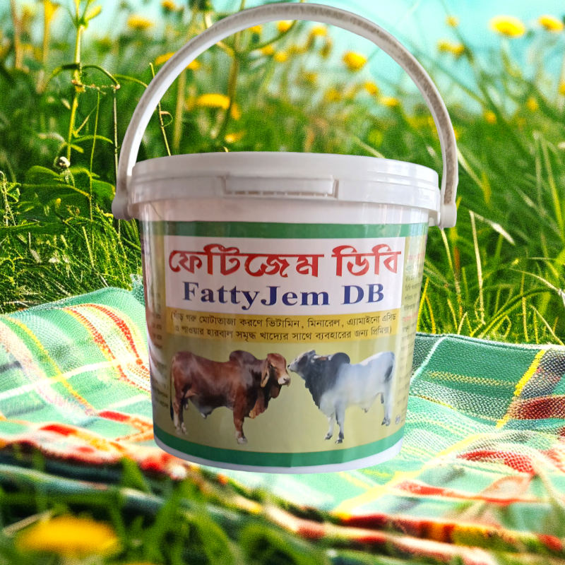 Best Fatty Jem DB 1kg - Cattle Health & Nutrition Supplement-AgroMukam